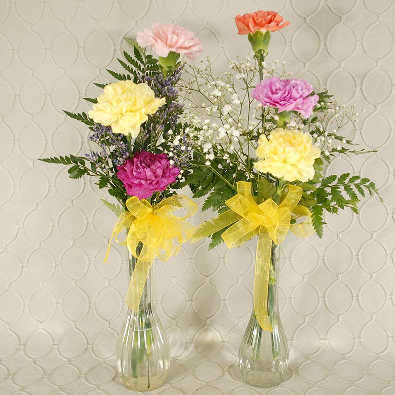 Triple Carnation With Filler :: Roberts Floral and Gifts